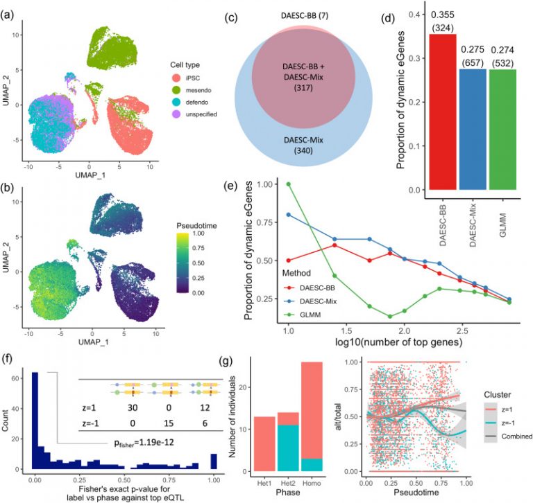 Single-cell allele-specific expression analysis reveals dynamic and cell-type-specific ...